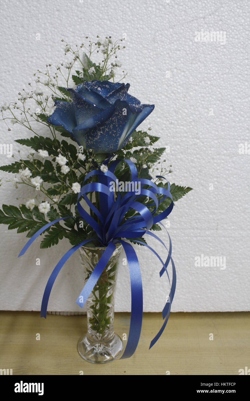 Two blue roses in vase Stock Photo - Alamy