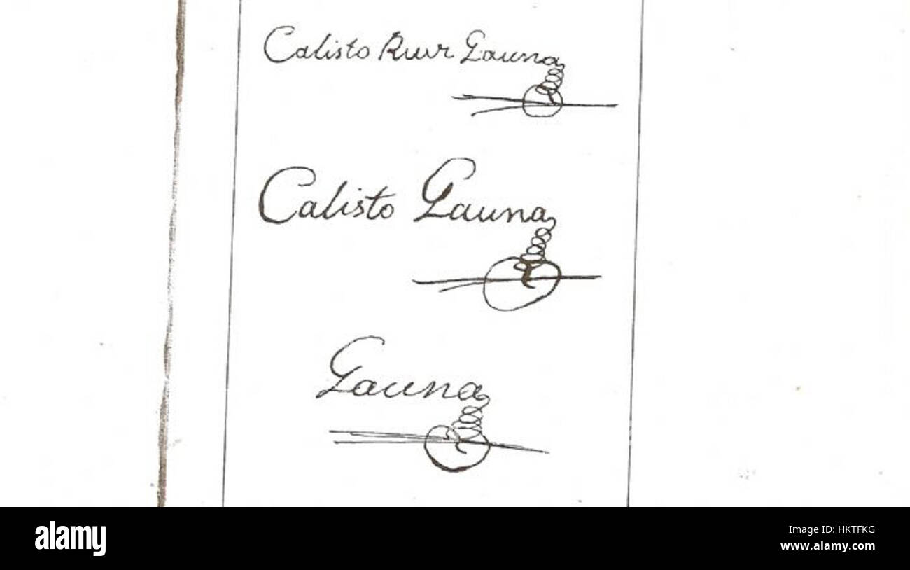 'Firma de Calixto Gauna' is an artwork attributed to the artist Calixto ...