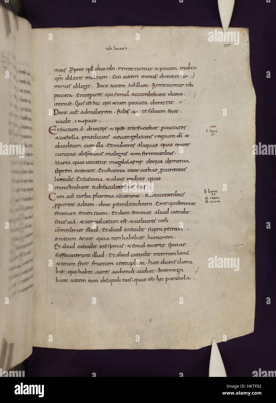 The Bodleian Libraries' Latin Gospels 115r is a significant manuscript ...