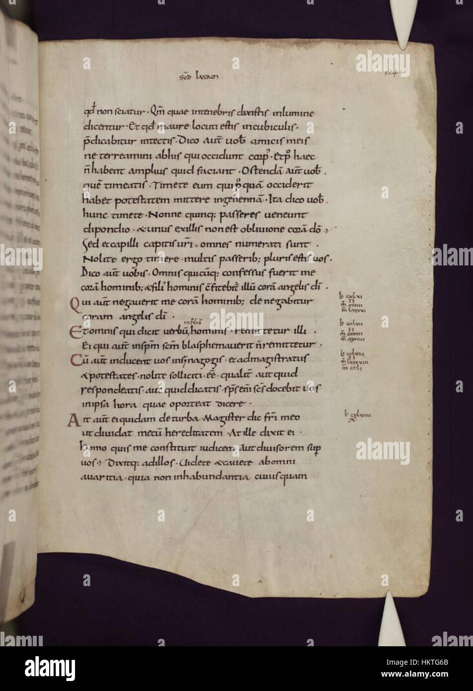 The Latin Gospels 124r manuscript from the Bodleian Libraries is a ...