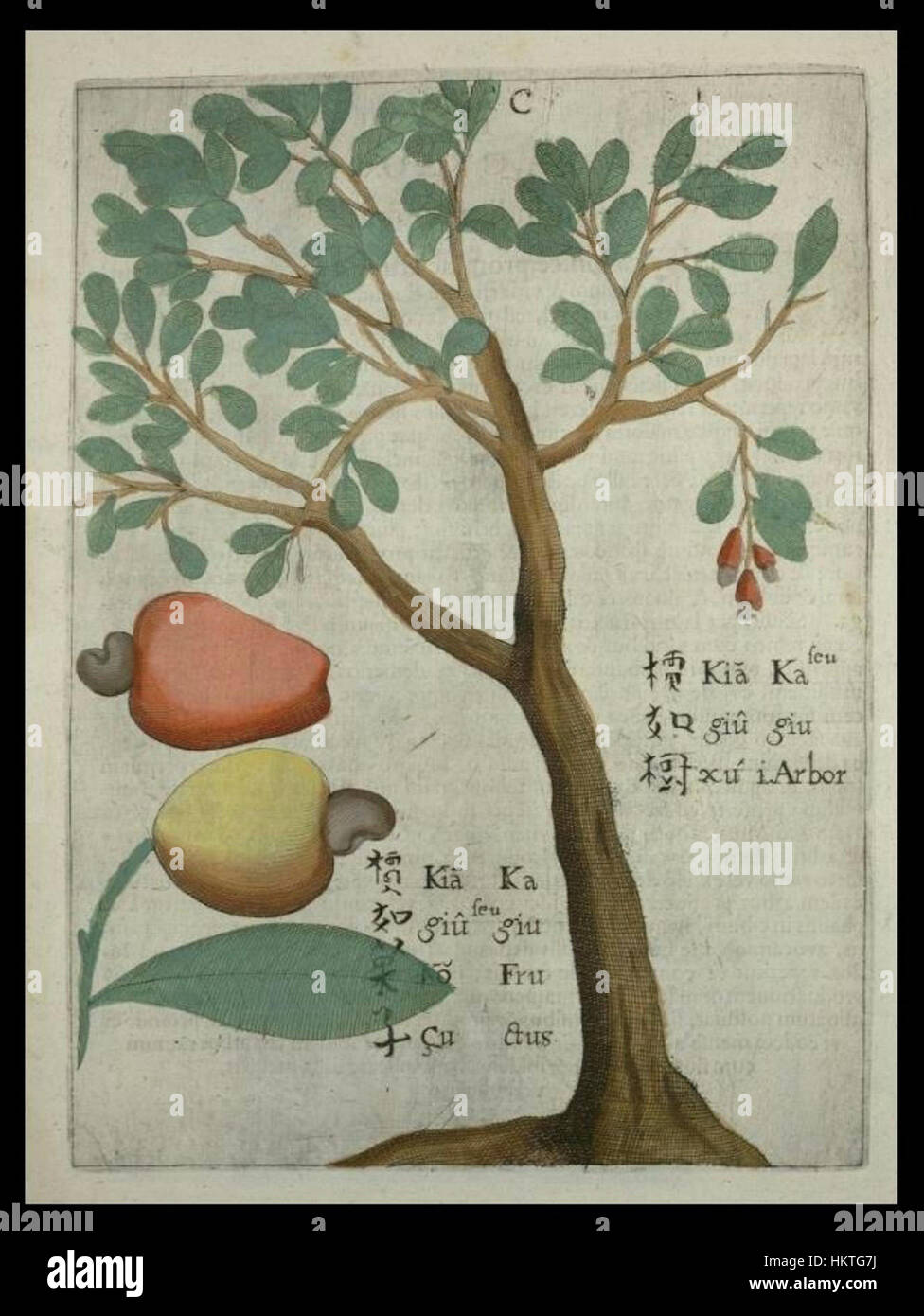 Ka oil hi-res stock photography and images - Alamy