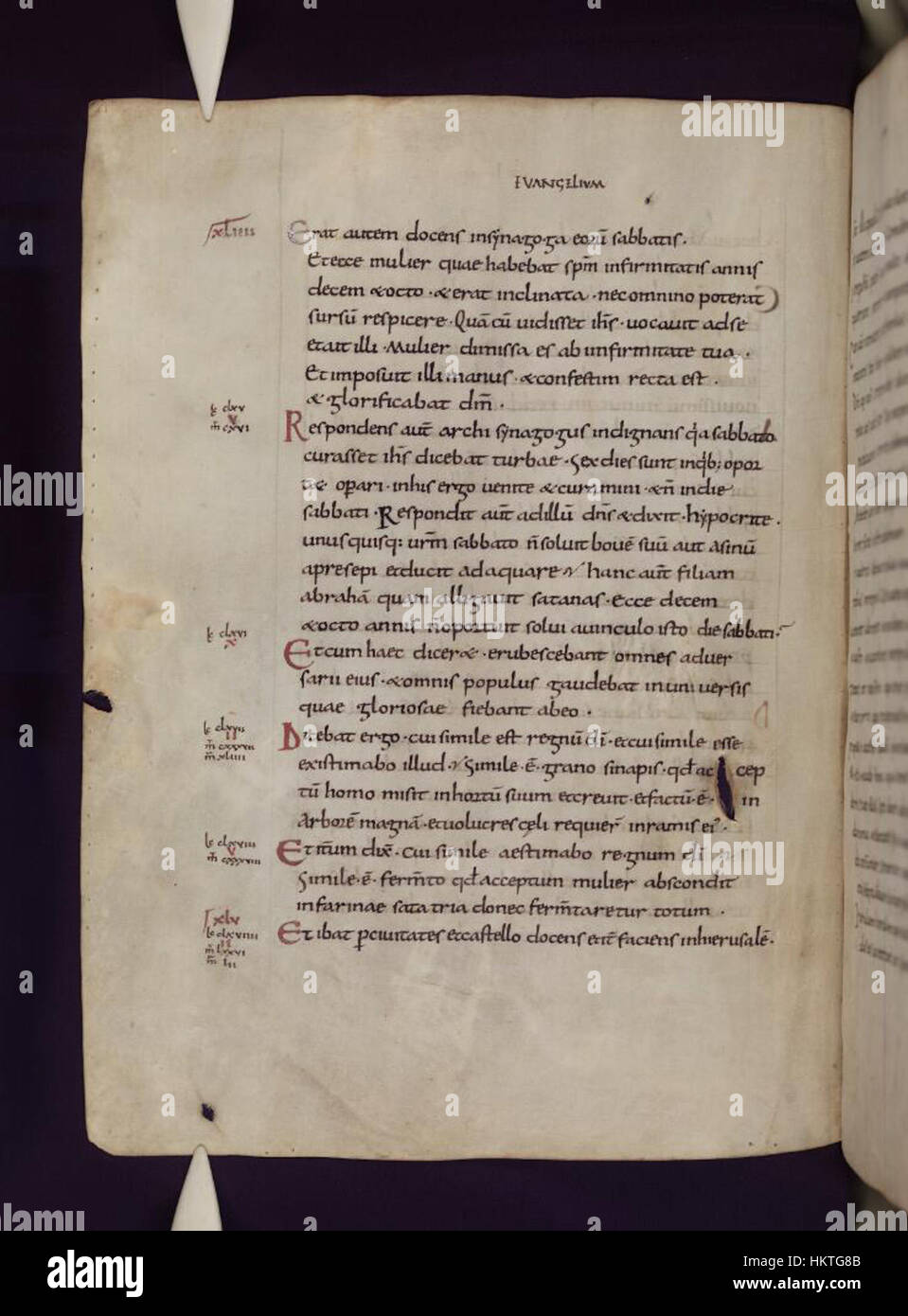 The Latin Gospels 126v is a manuscript page from the Bodleian Libraries ...