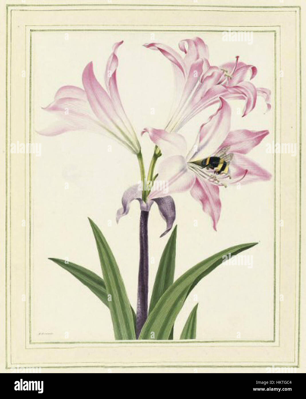 Peter Brown Artist High Resolution Stock Photography and Images - Alamy