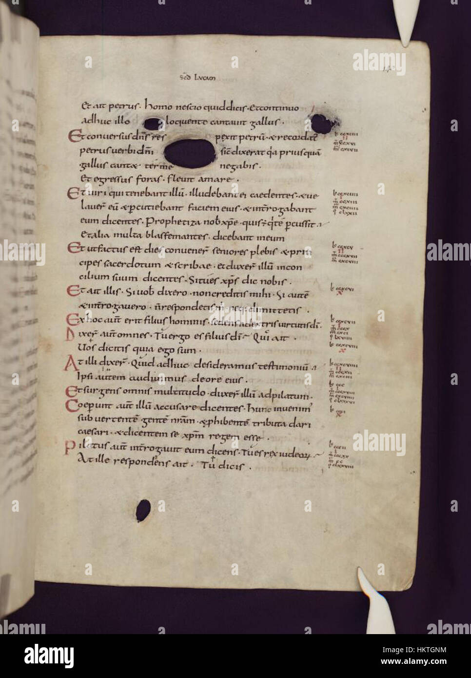 This illustration from the Latin Gospels, housed at the Bodleian ...