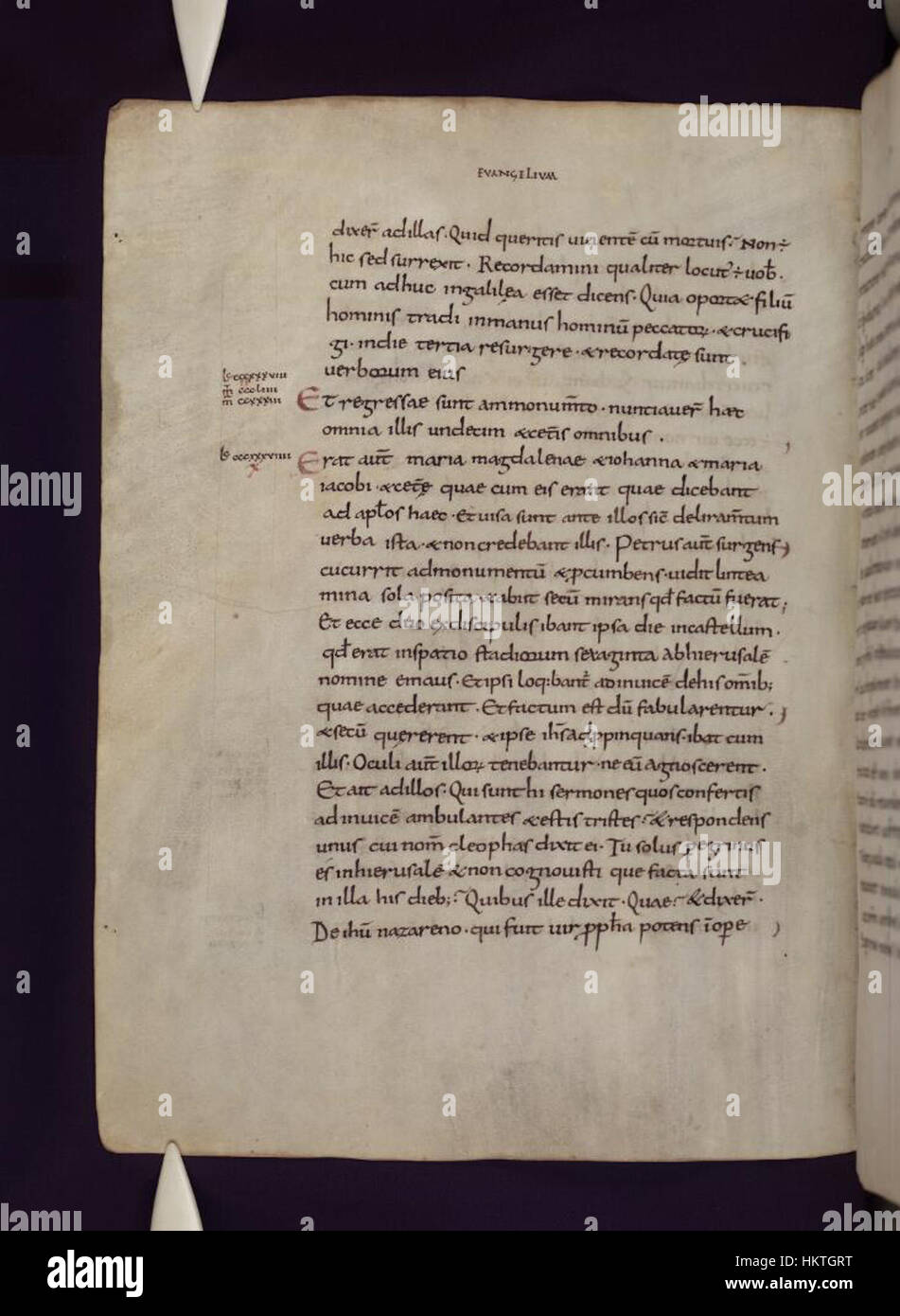 The *Latin Gospels 142v* is a historical manuscript held at the ...