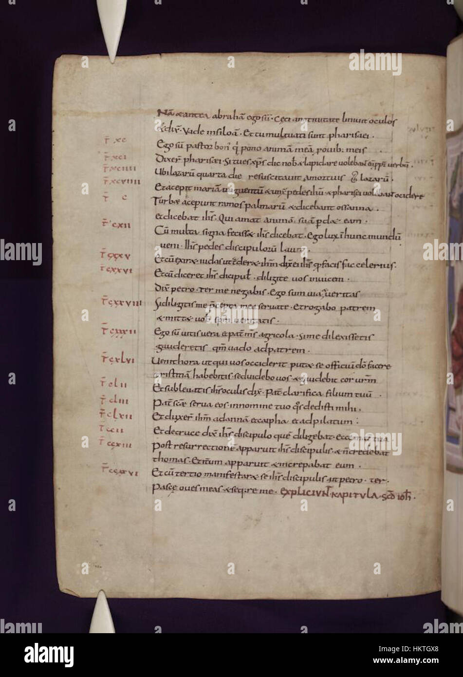 The Latin Gospels, preserved in the Bodleian Libraries, contain ...