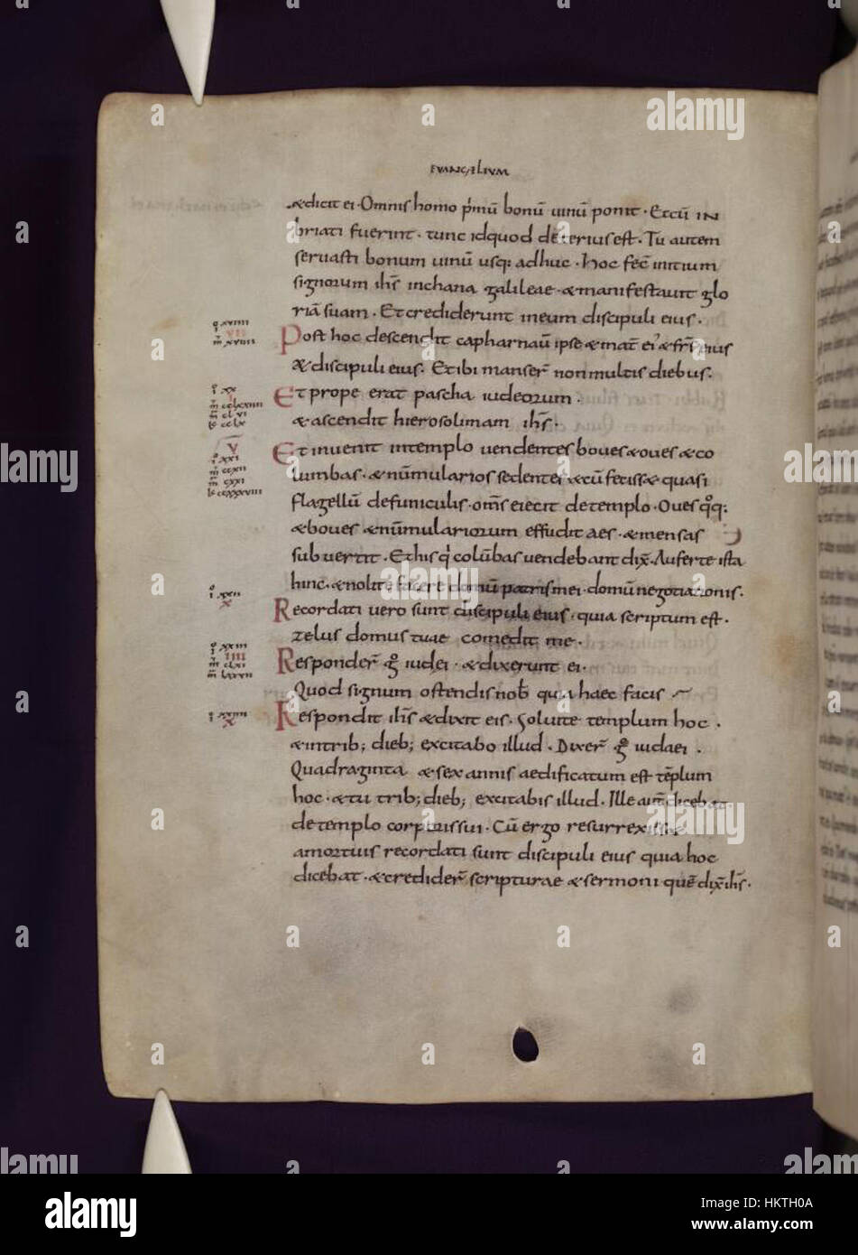 The Latin Gospels, housed at the Bodleian Libraries, represent a ...