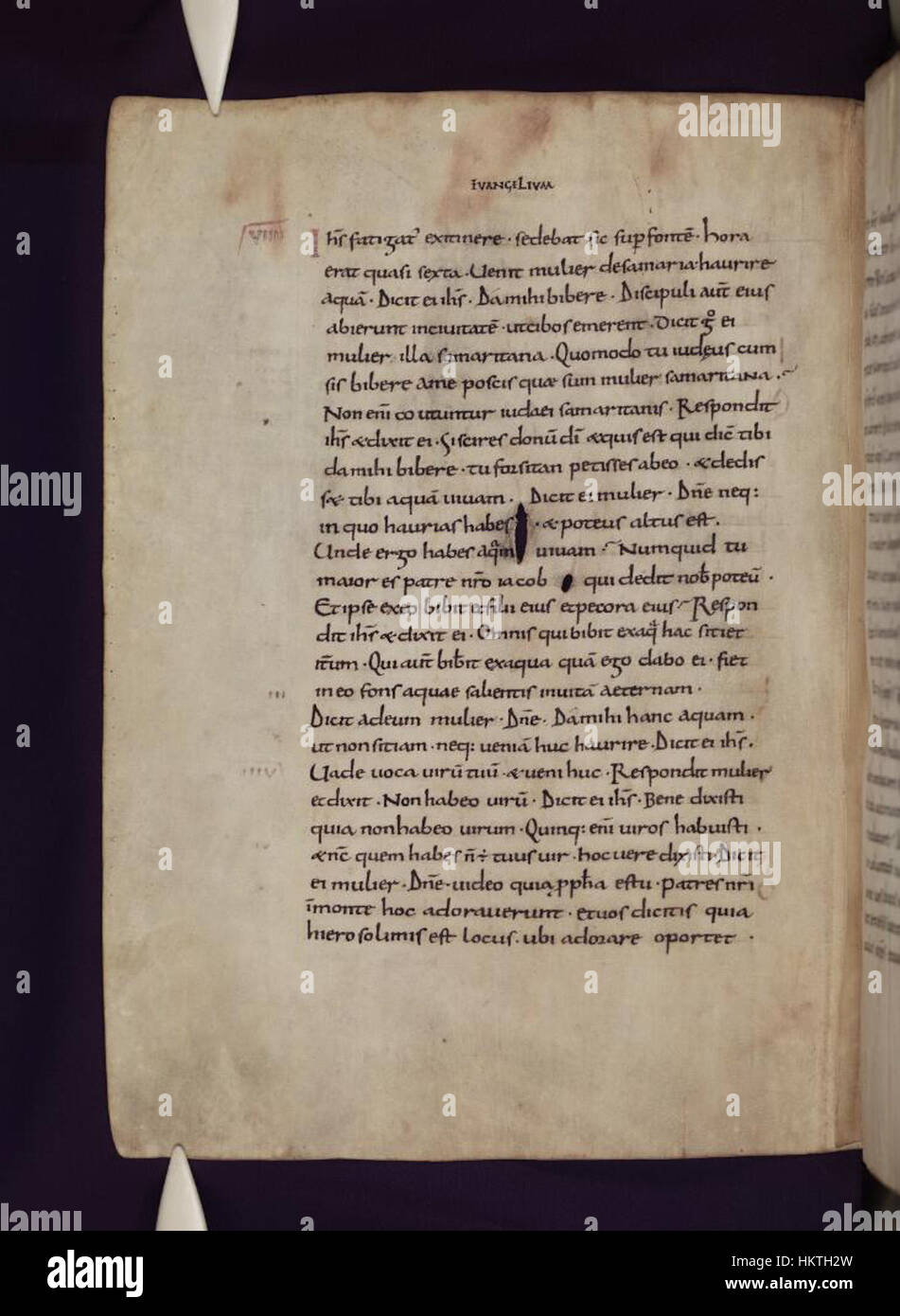 The 'Latin Gospels 150v' housed at the Bodleian Libraries is a ...