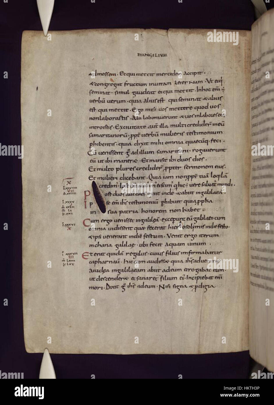 The *Latin Gospels* manuscript, housed at the Bodleian Libraries, is a ...