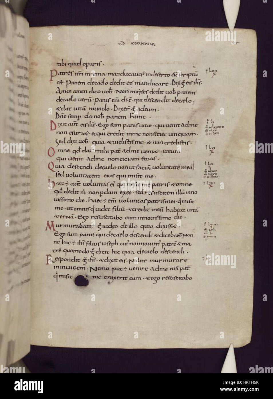 The Latin Gospels manuscript, held in the Bodleian Libraries, features ...