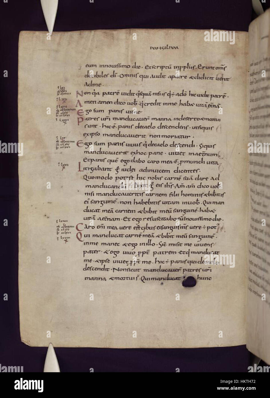 The Bodleian Libraries houses the Latin Gospels, a historical ...