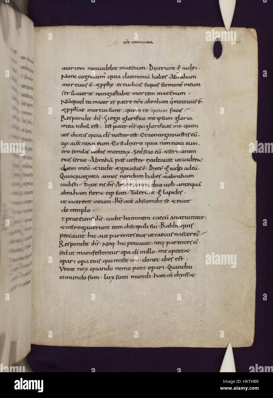 The Bodleian Librariesâ€™ manuscript of the Latin Gospels, folio 160r ...