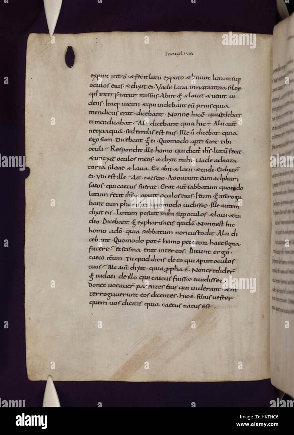 The 'Latin Gospels' manuscript, housed in the Bodleian Libraries ...