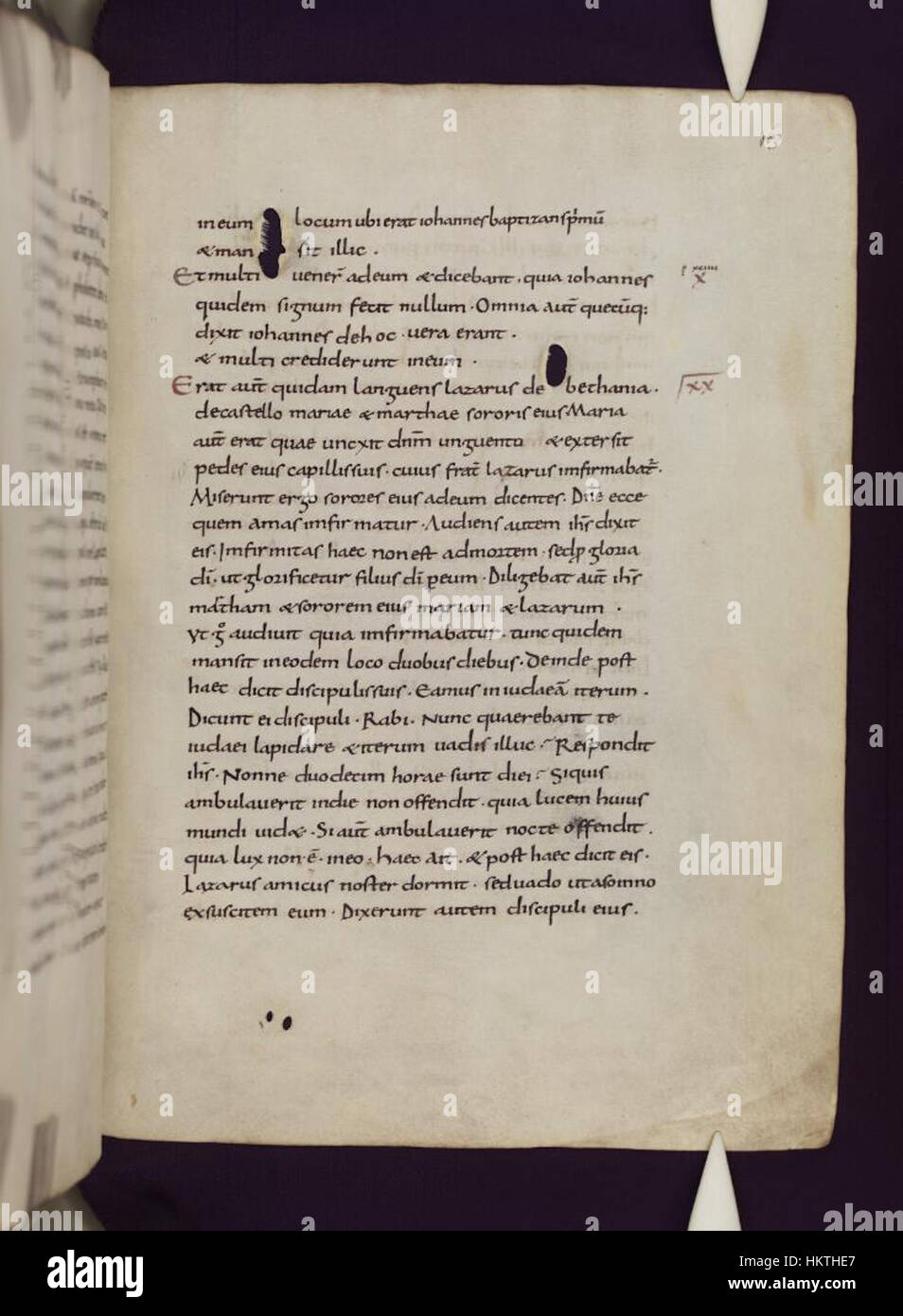 The Latin Gospels manuscript, housed in the Bodleian Libraries, is an ...
