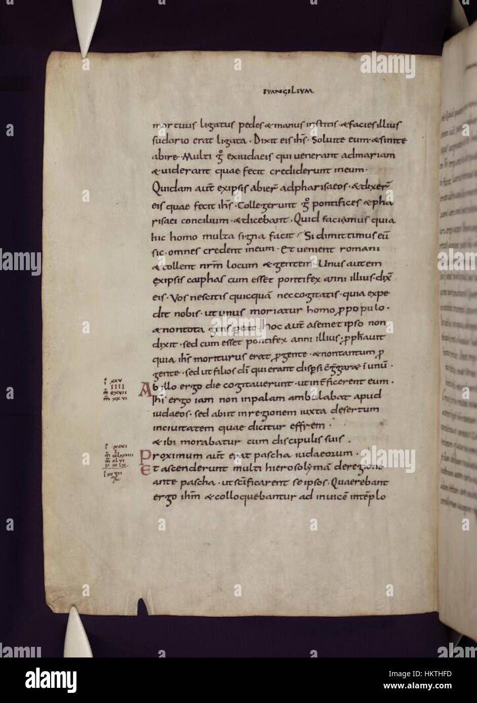 A page from the Latin Gospels manuscript, preserved in the Bodleian ...