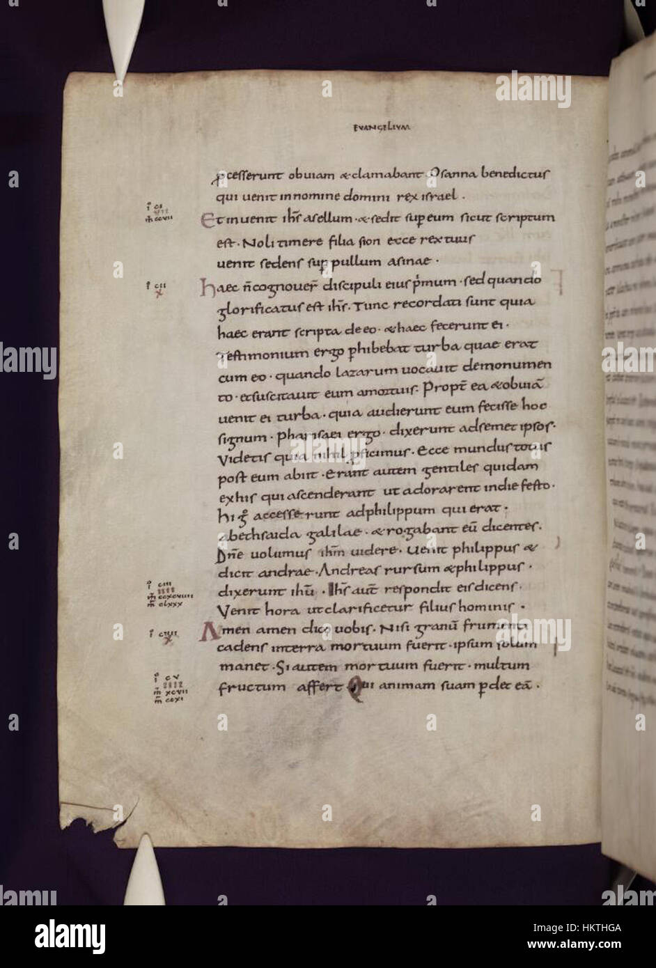 The Latin Gospels manuscript, housed at the Bodleian Libraries, is a ...