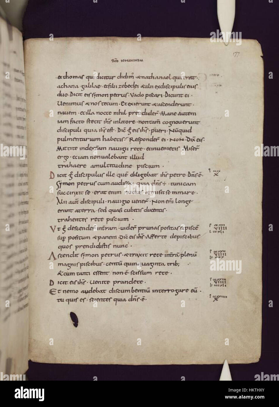 The *Latin Gospels* housed at the Bodleian Libraries are a collection ...