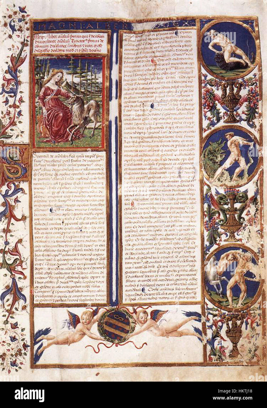 Francesco di Giorgio's 'Codex De Animalibus' is a detailed manuscript ...