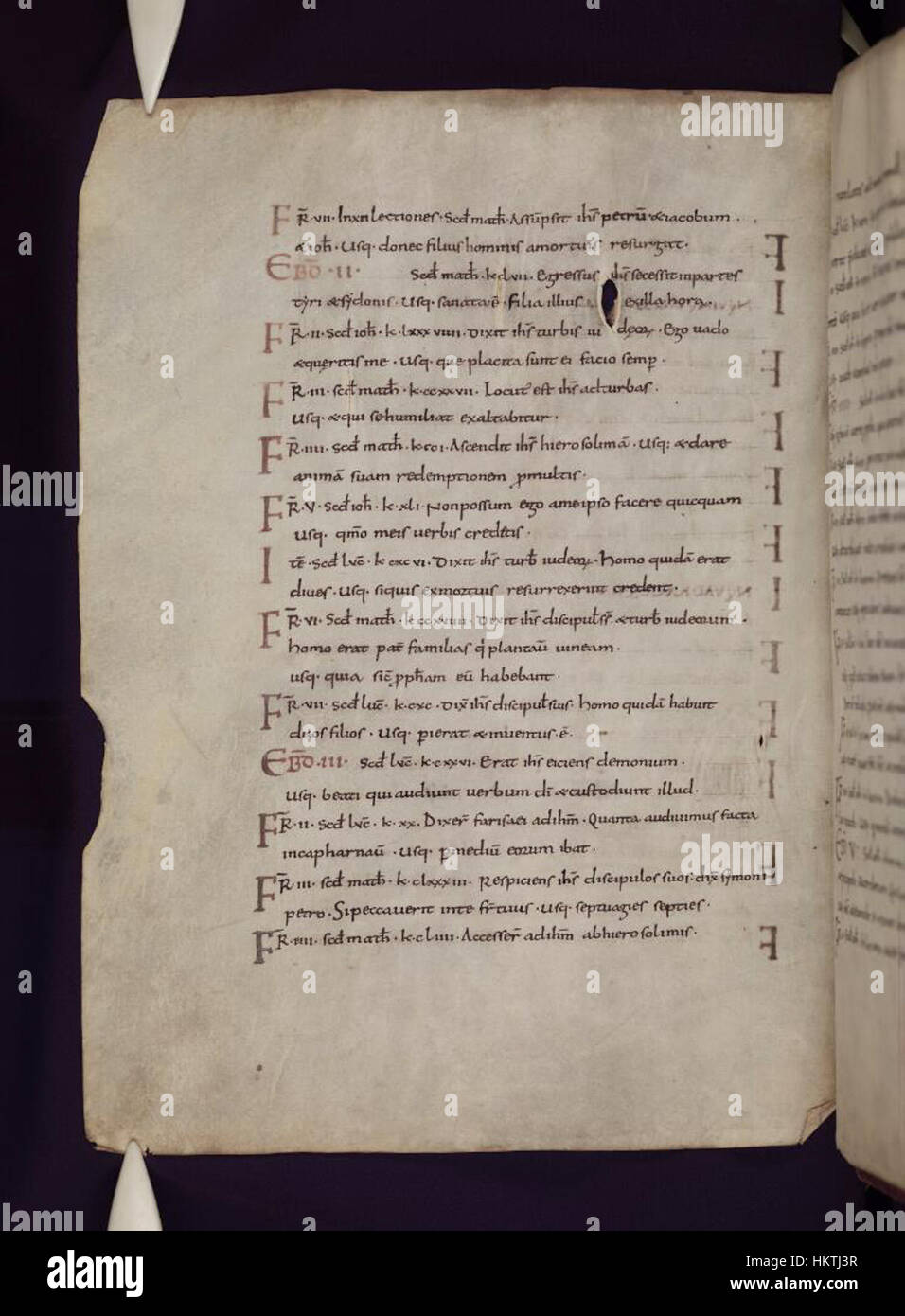 The Latin Gospels 181v manuscript, housed in the Bodleian Libraries, is ...