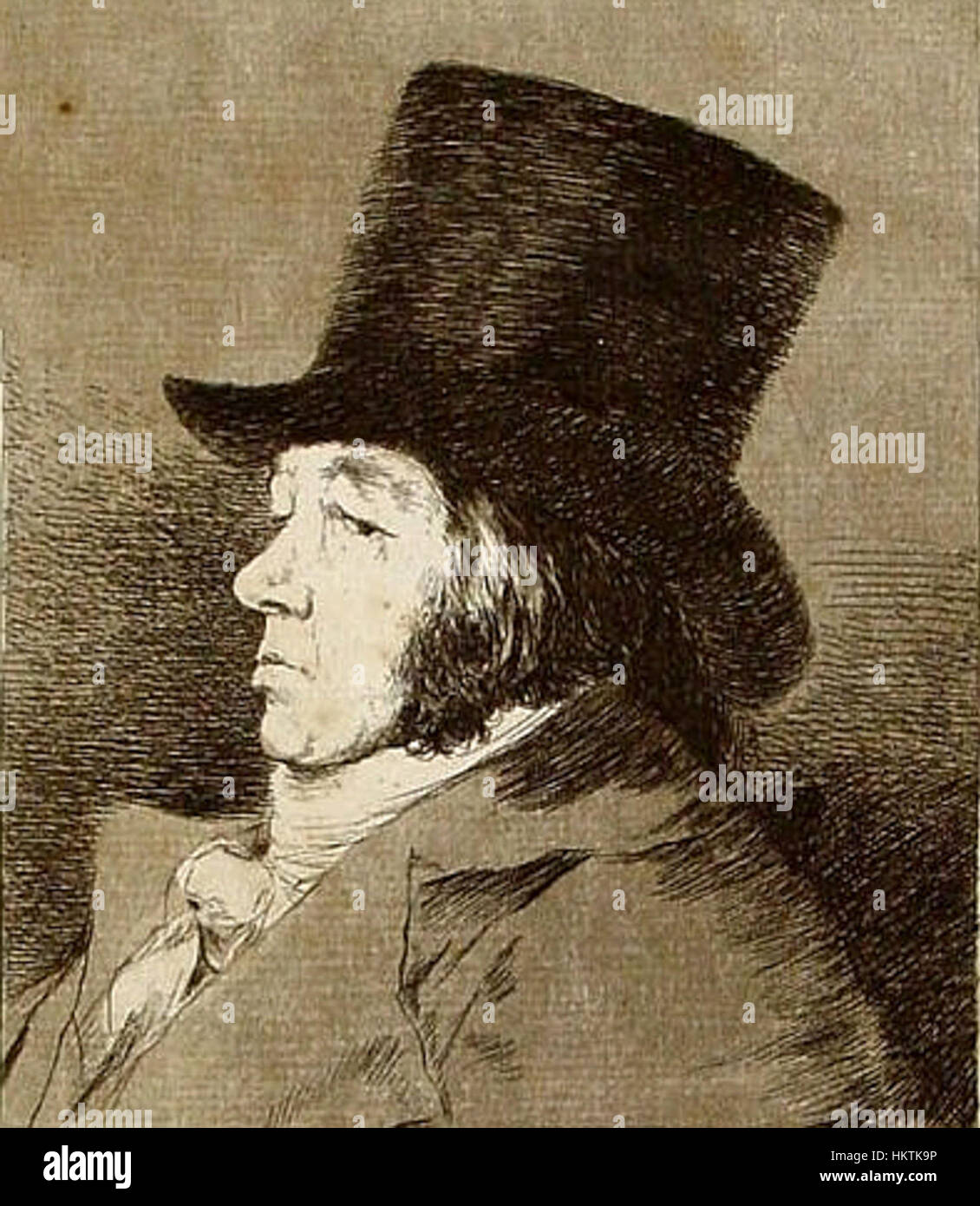 Francisco Goya y Lucientes, one of Spain's most influential artists, is ...