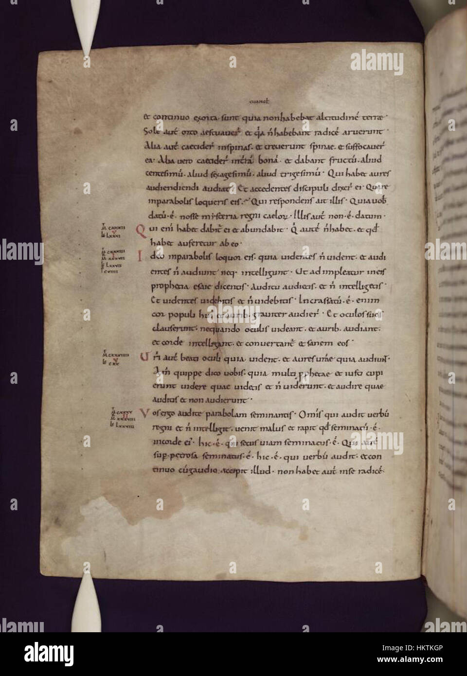 The 'Latin Gospels 44v' manuscript housed at the Bodleian Libraries is ...