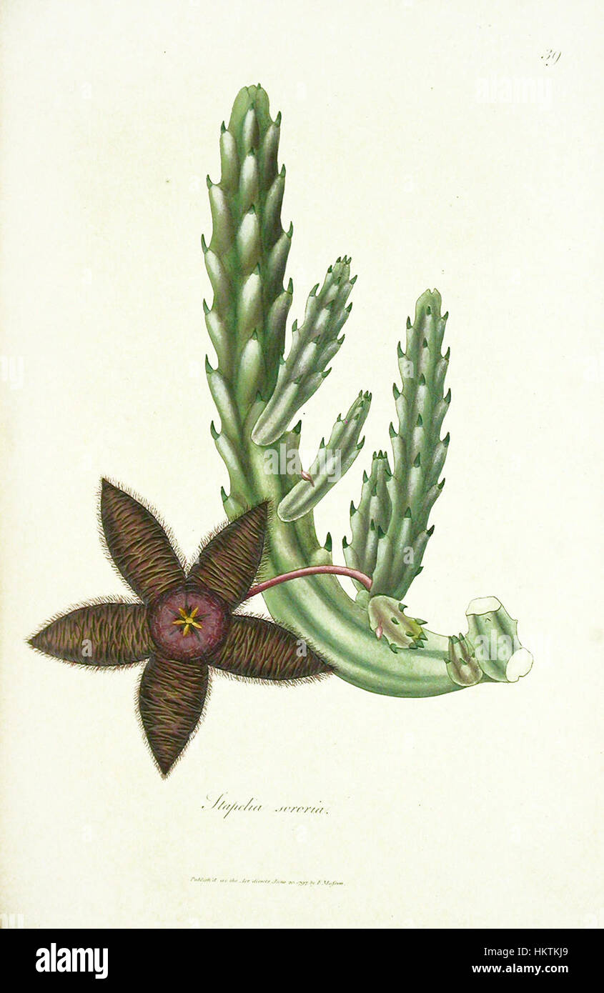 Francis Massonâ€™s work, marked as *Francis Masson08*, reflects his ...