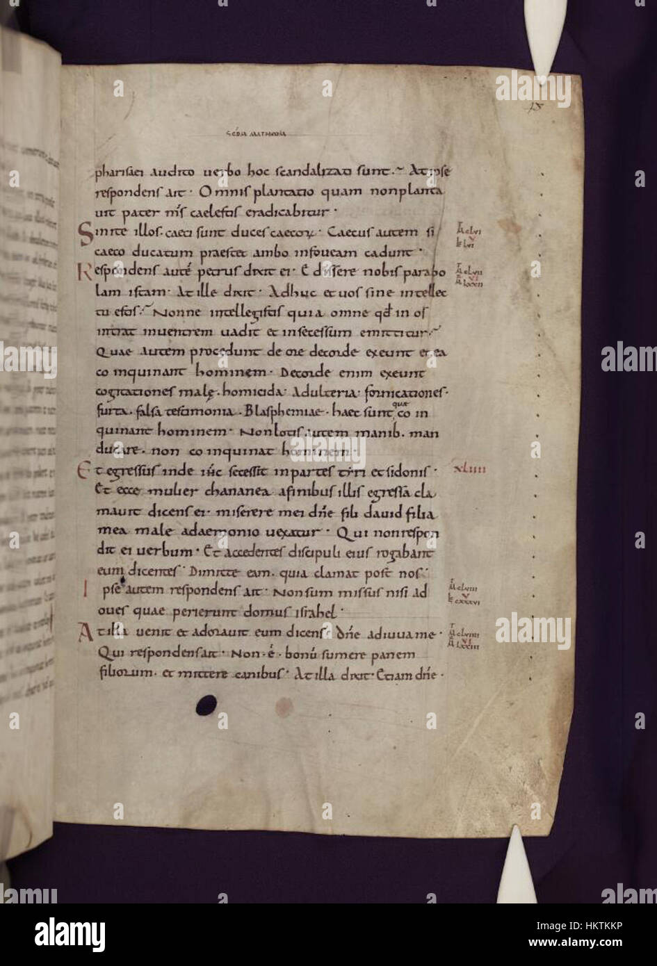 This page from the Latin Gospels, housed in the Bodleian Libraries ...