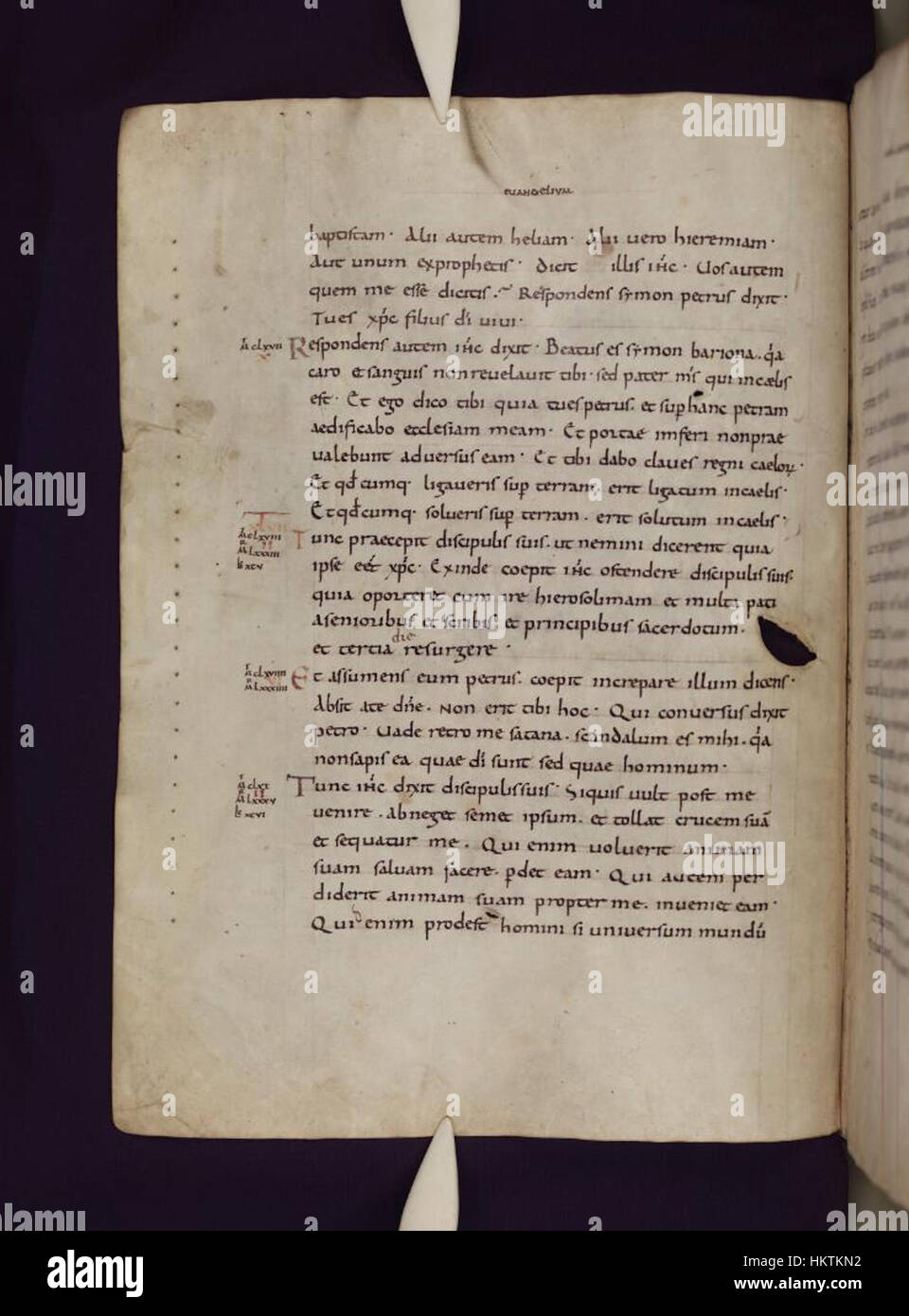 The Latin Gospels, housed at the Bodleian Libraries, is an illuminated ...