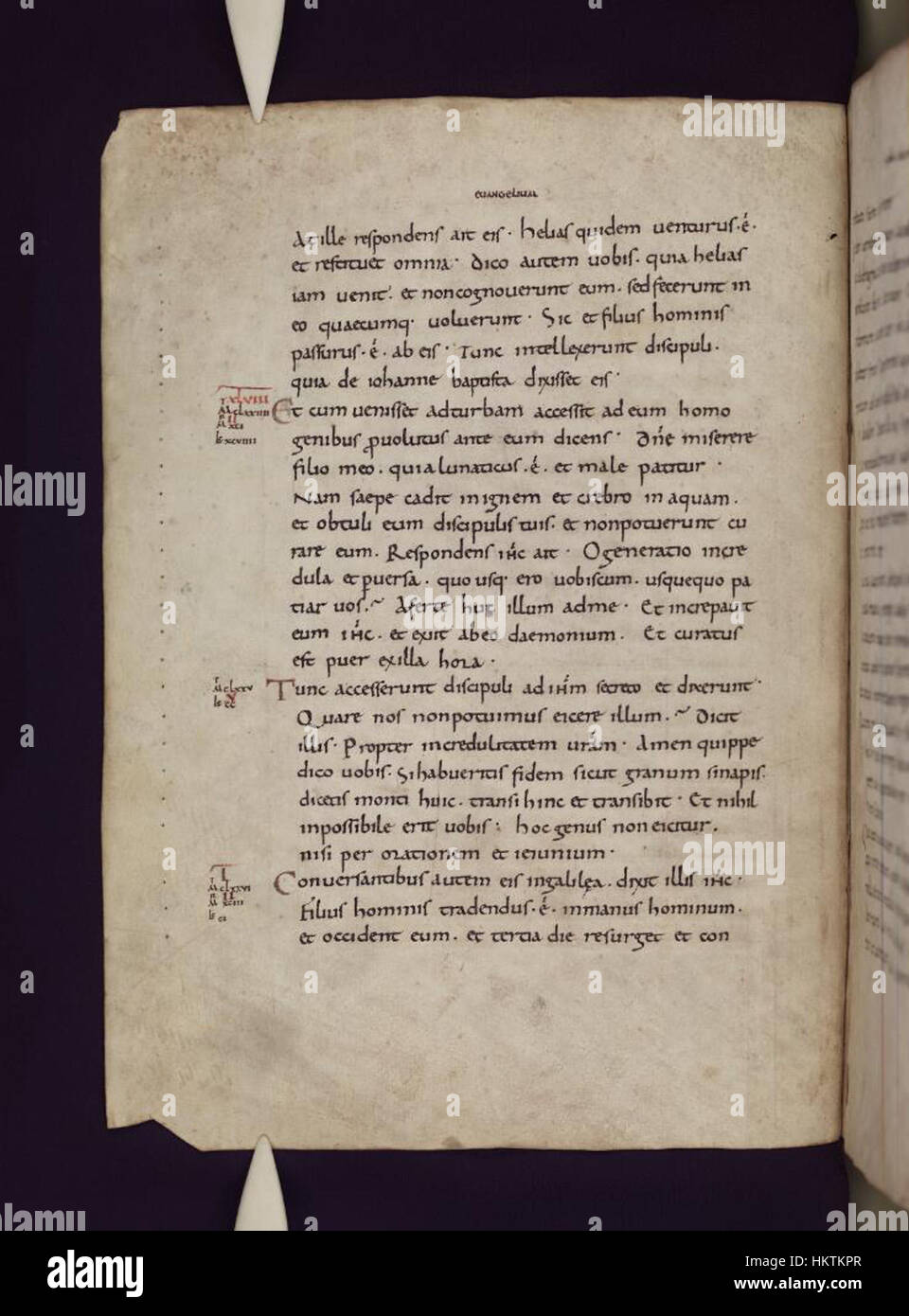 A page from the Latin Gospels manuscript housed at the Bodleian ...