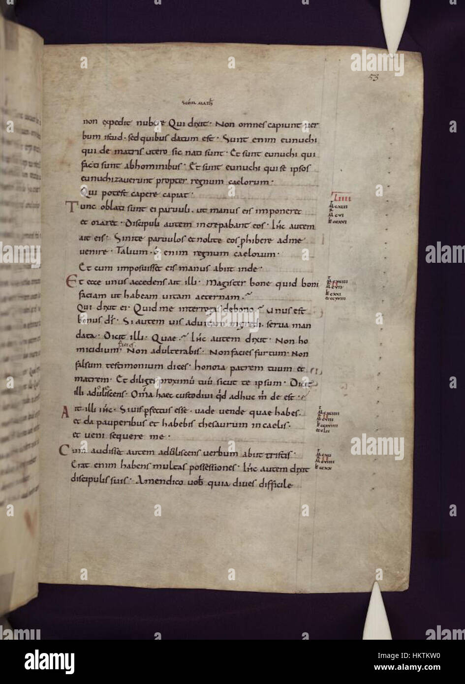 The *Latin Gospels 53r*, housed in the Bodleian Libraries, features an ...