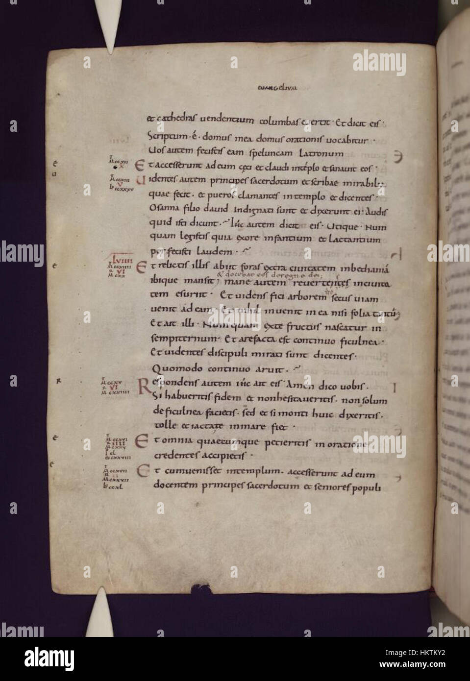 This page from the Latin Gospels housed in the Bodleian Libraries ...