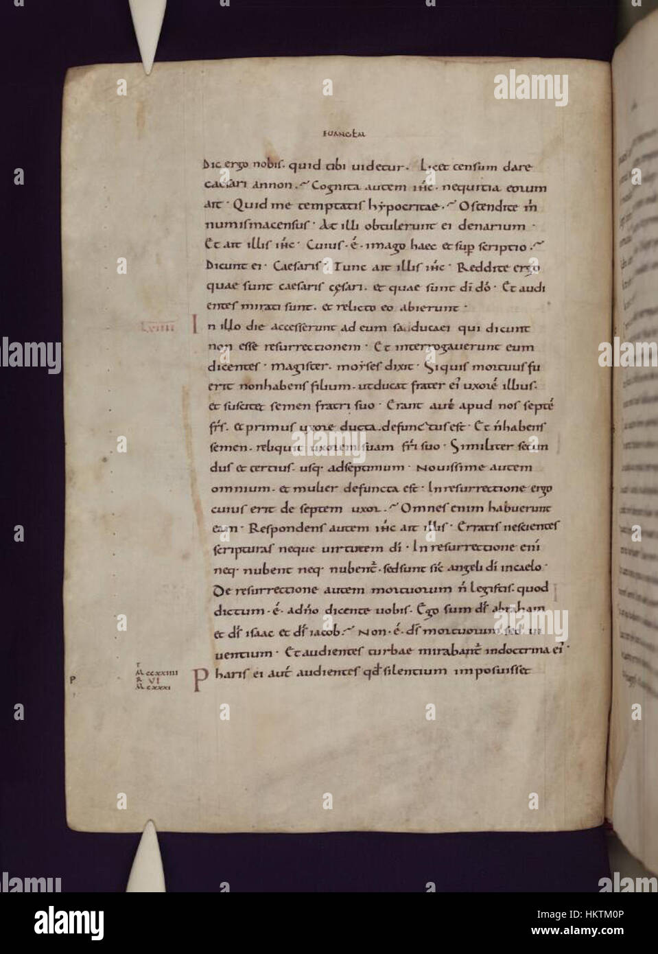 The Latin Gospels manuscript, housed in the Bodleian Libraries, is an ...
