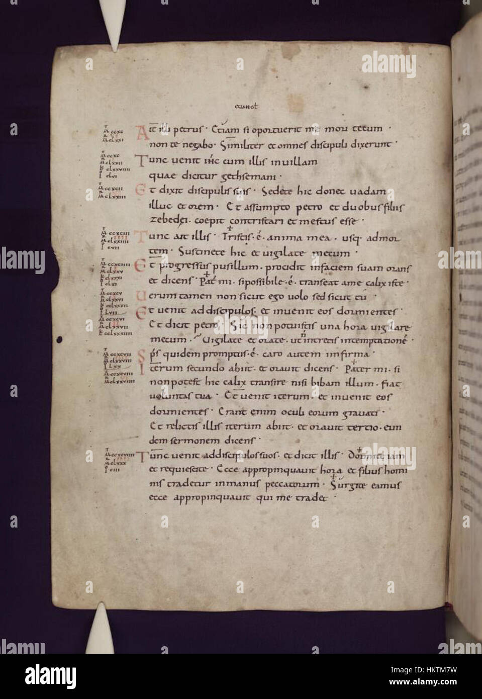 The Latin Gospels 64v, housed in the Bodleian Libraries, is a medieval ...