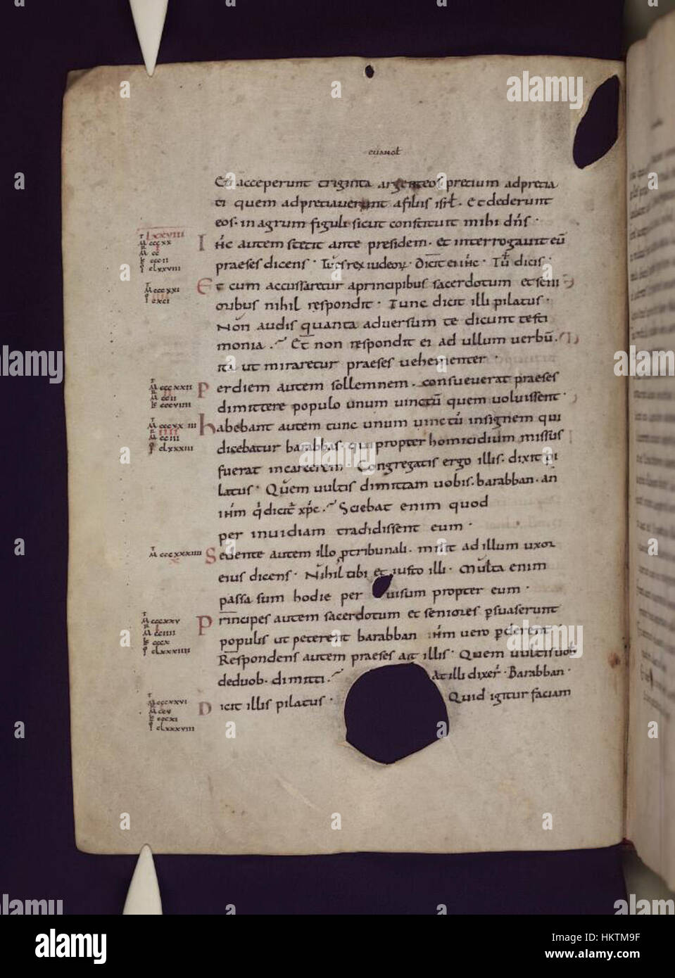 A page from the Latin Gospels manuscript, held in the Bodleian ...