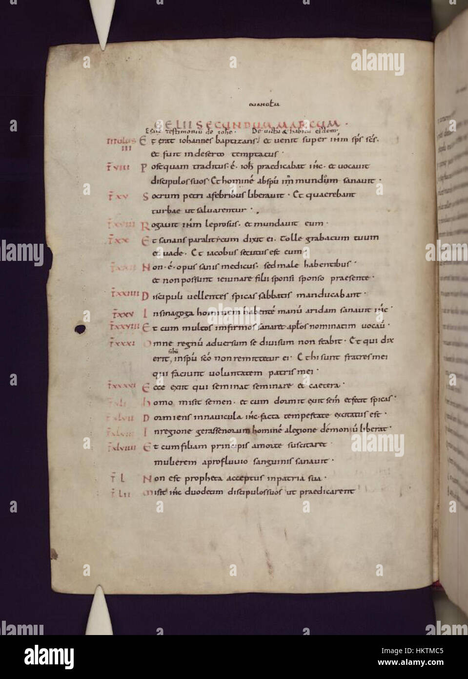 This image shows a page from the Latin Gospels housed in the Bodleian ...