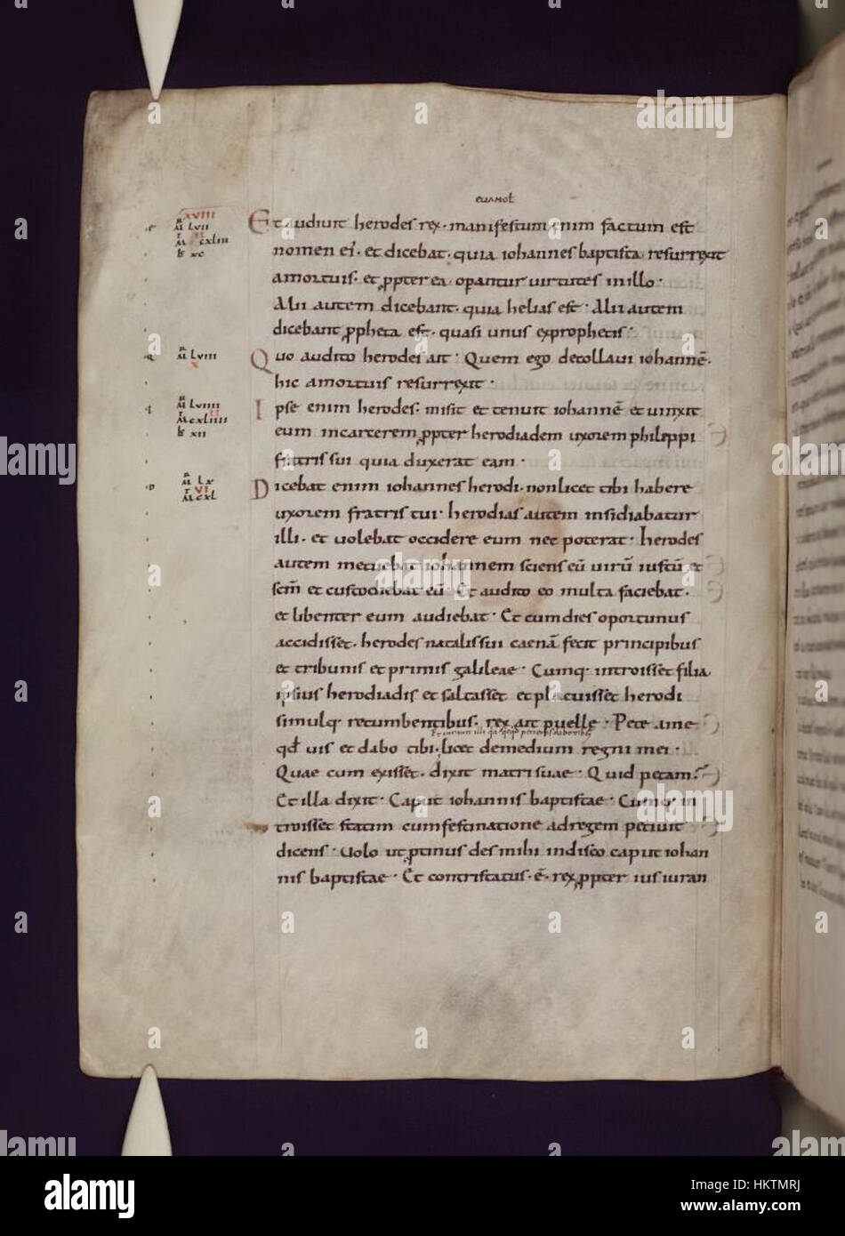 The Latin Gospels manuscript, held at the Bodleian Libraries, is a ...