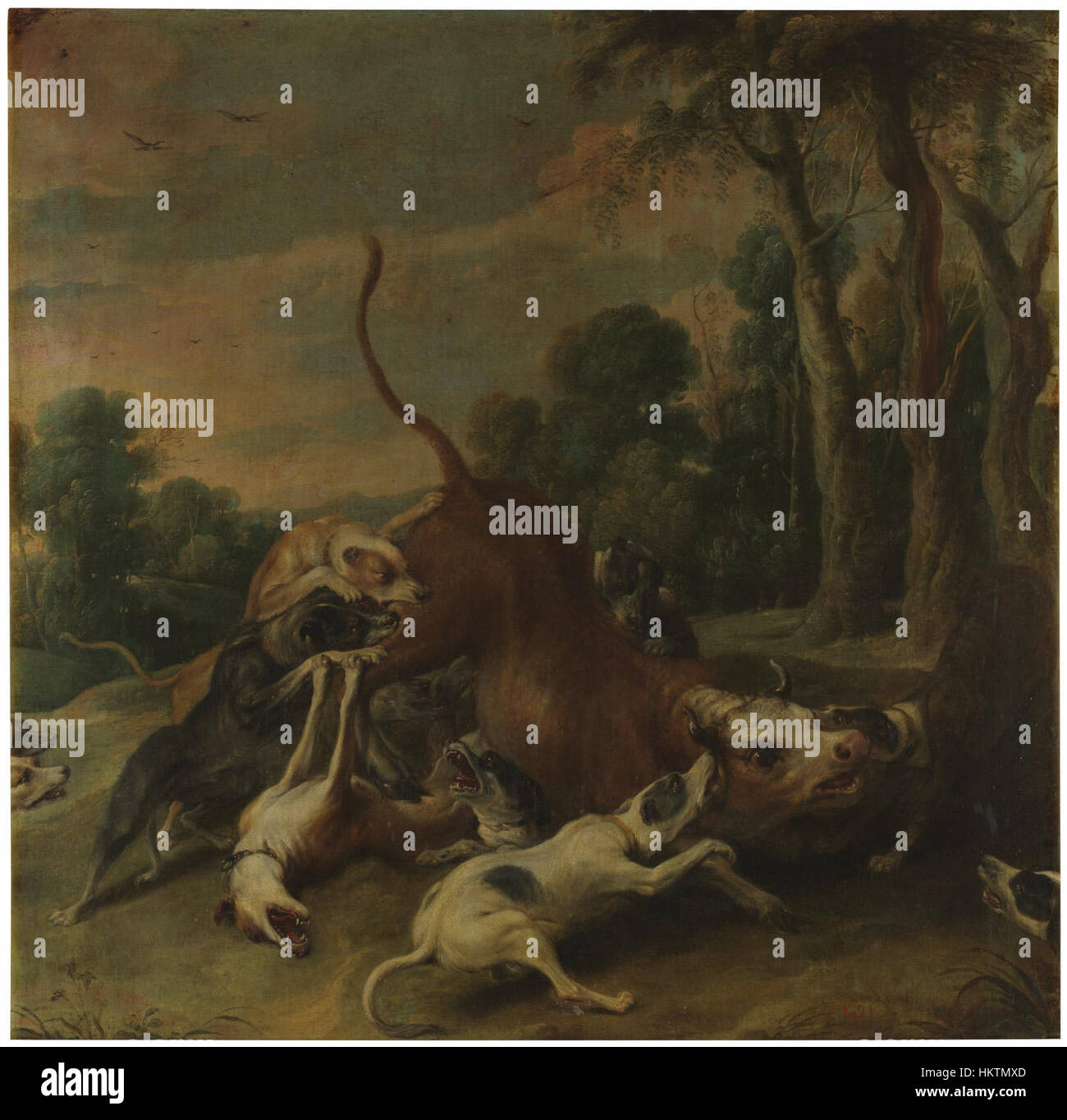 Frans Snyders' painting 'A Bull Overpowered by Dogs' depicts a dramatic ...