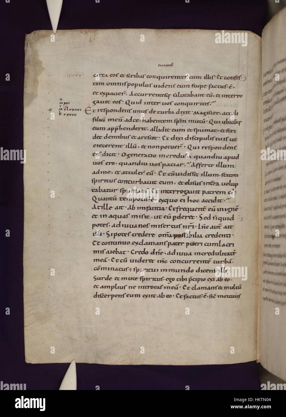 The *Bodleian Libraries Latin Gospels* manuscript, folio 85v, features ...