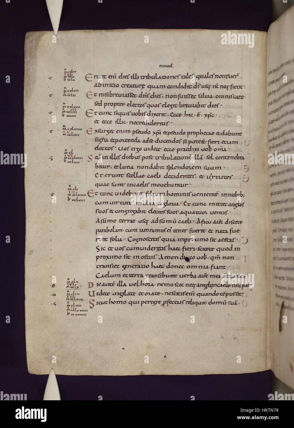 The Latin Gospels 92v, preserved in the Bodleian Libraries, is a ...