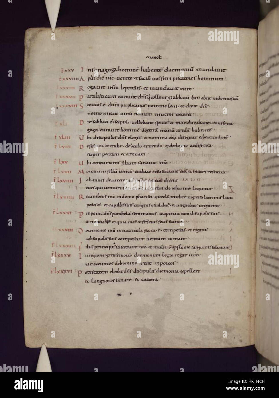 The image depicts a page from the Latin Gospels held at the Bodleian ...