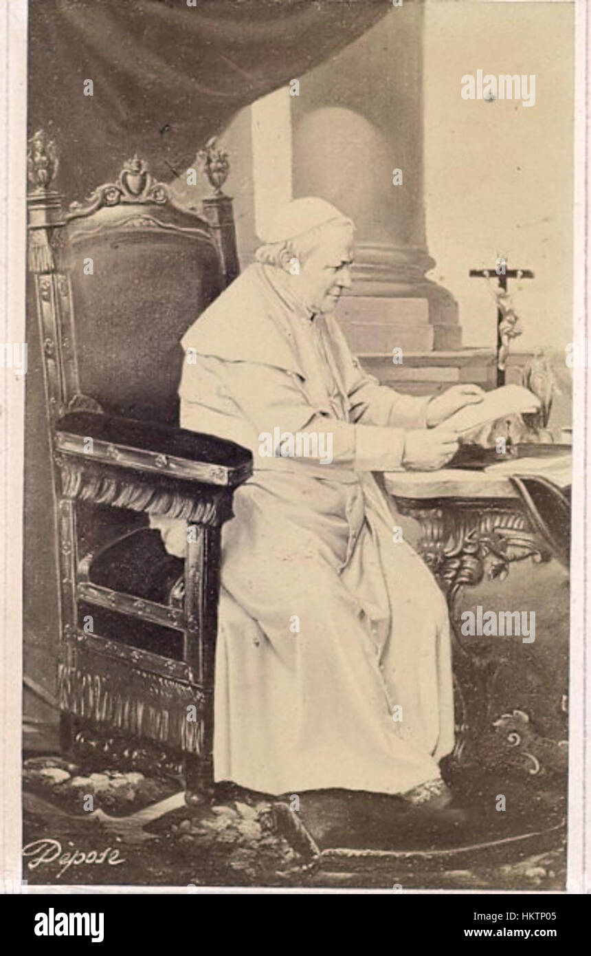 Fratelli D'Alessandri's portrait of Pope Pius IX from around 1865 ...