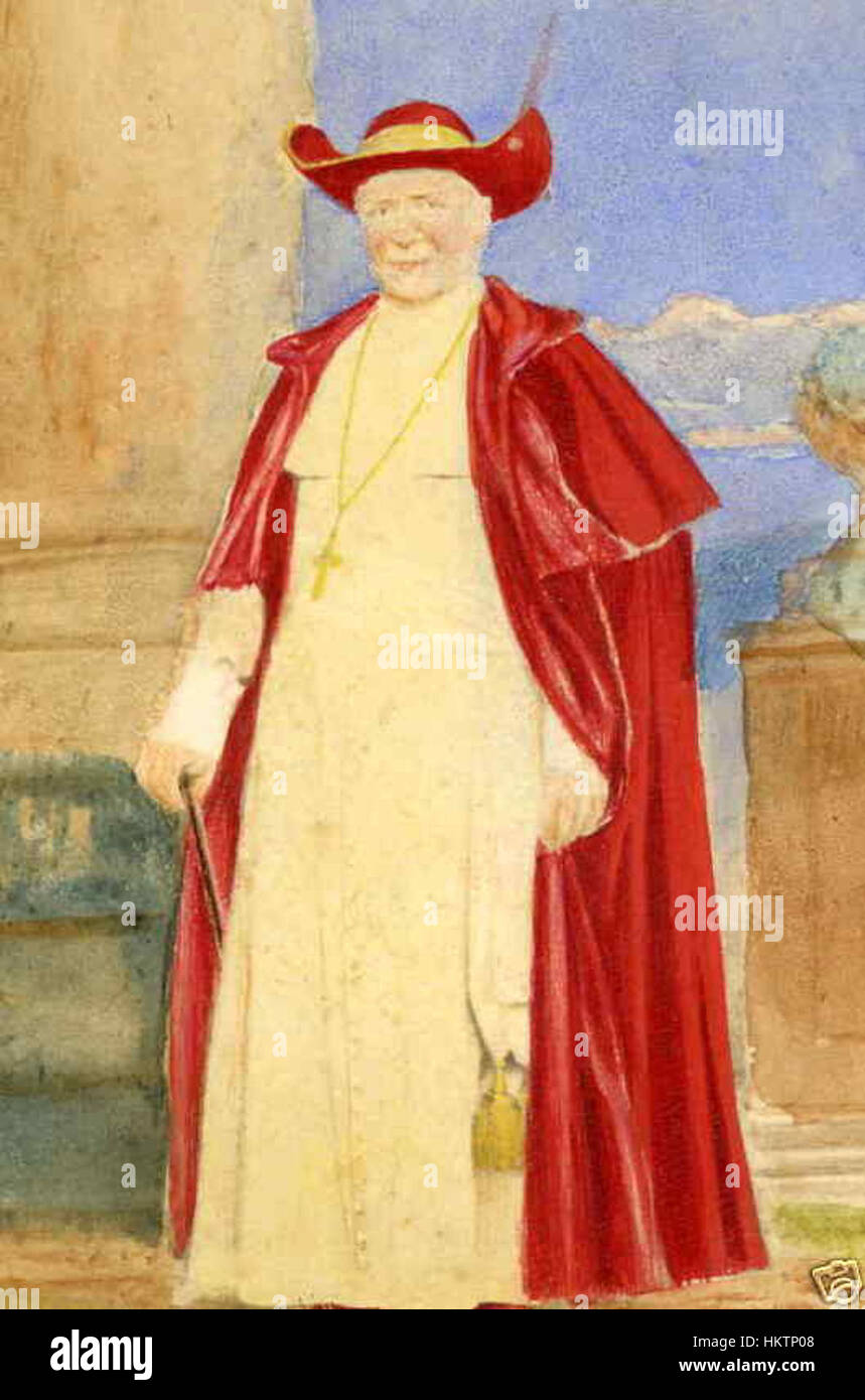 An 19th-century watercolor portrait of Pope Pius IX, highlighting the ...