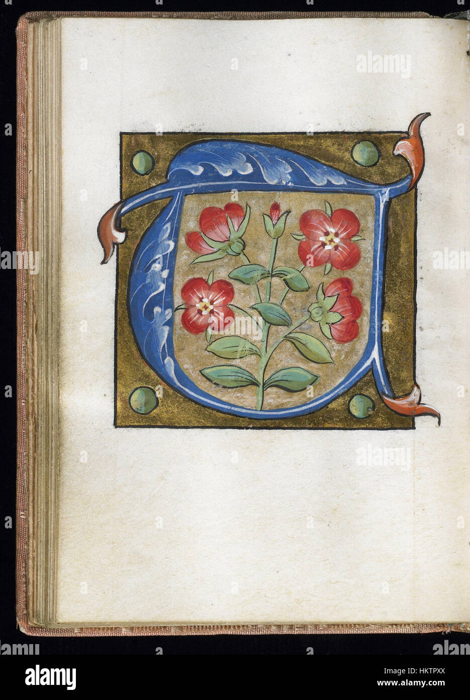 A leaf from a French alphabet book, displaying an early example of ...