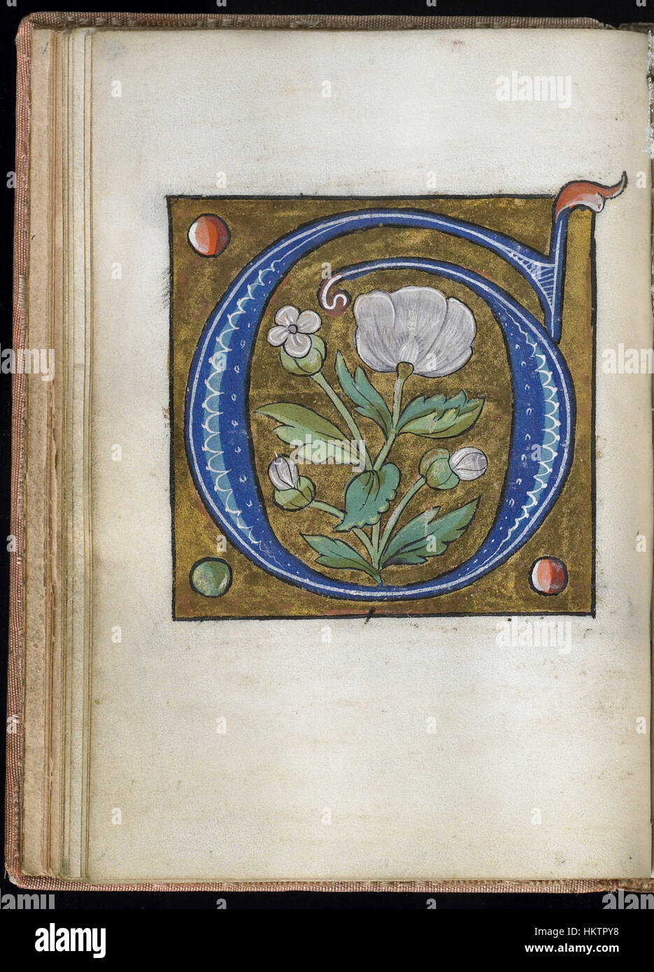 A leaf from a French alphabet book (Walters W20013V) depicting the ...
