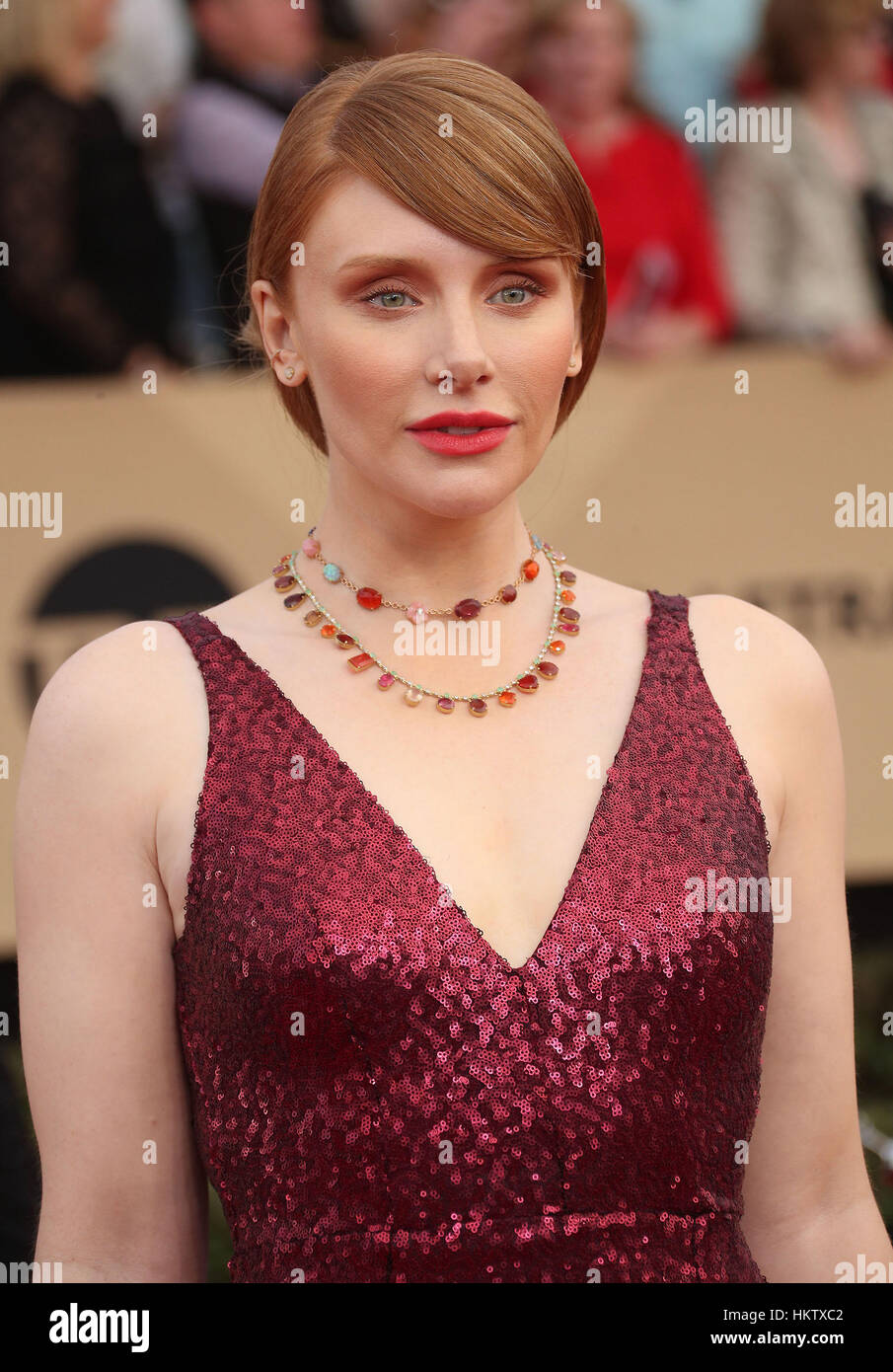 Los Angeles, USA. 29th Jan, 2017. Bryce Dallas Howard at the 23rd ...