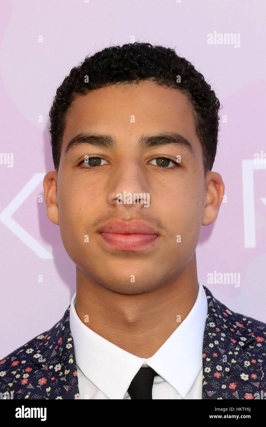West Hollywood, USA. 28th Jan, 2017. Marcus Scribner at arrivals for ...