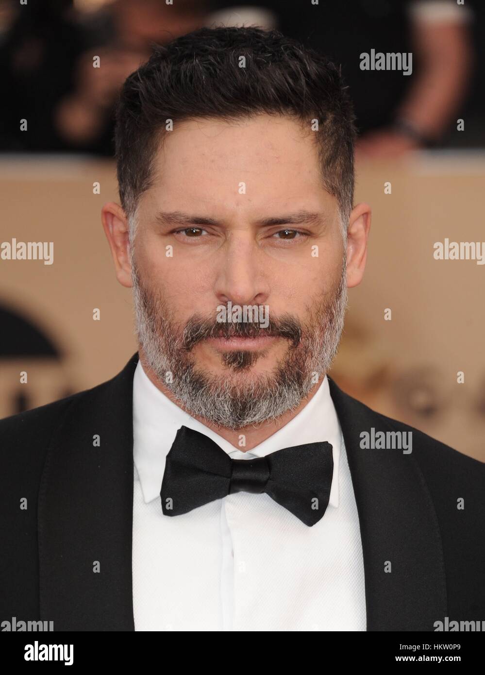 Los Angeles, CA, USA. 29th Jan, 2017. Joe Manganiello at arrivals for ...