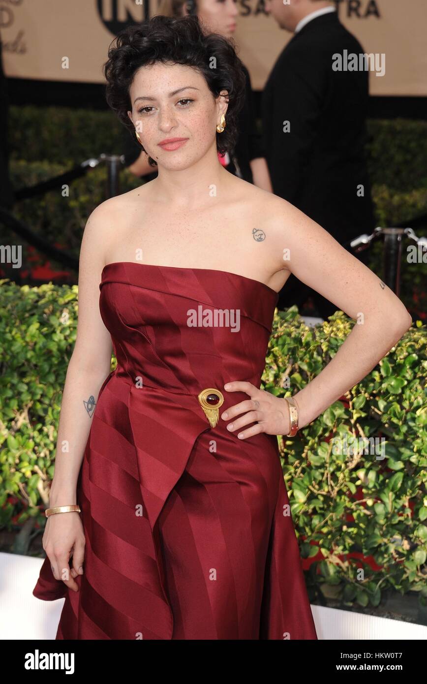 Los Angeles, CA, USA. 29th Jan, 2017. Alia Shawkat at arrivals for 23rd ...