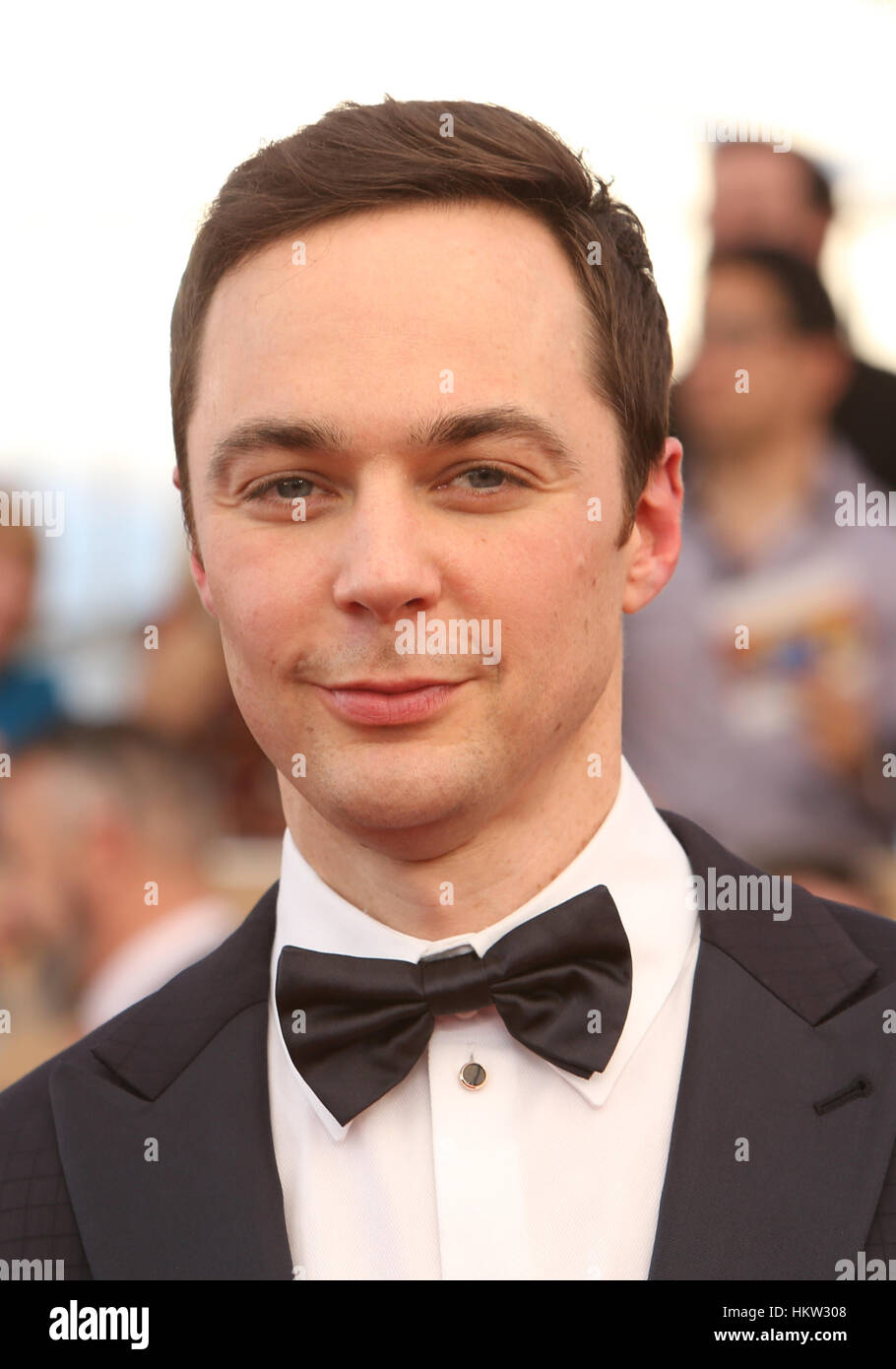 Los Angeles, California, USA. 29th Jan, 2017. Jim Parsons at The 23rd ...
