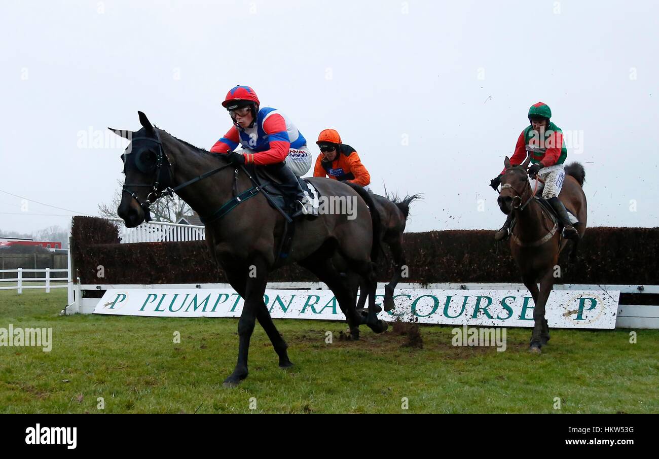 Plumpton racing hi-res stock photography and images - Alamy